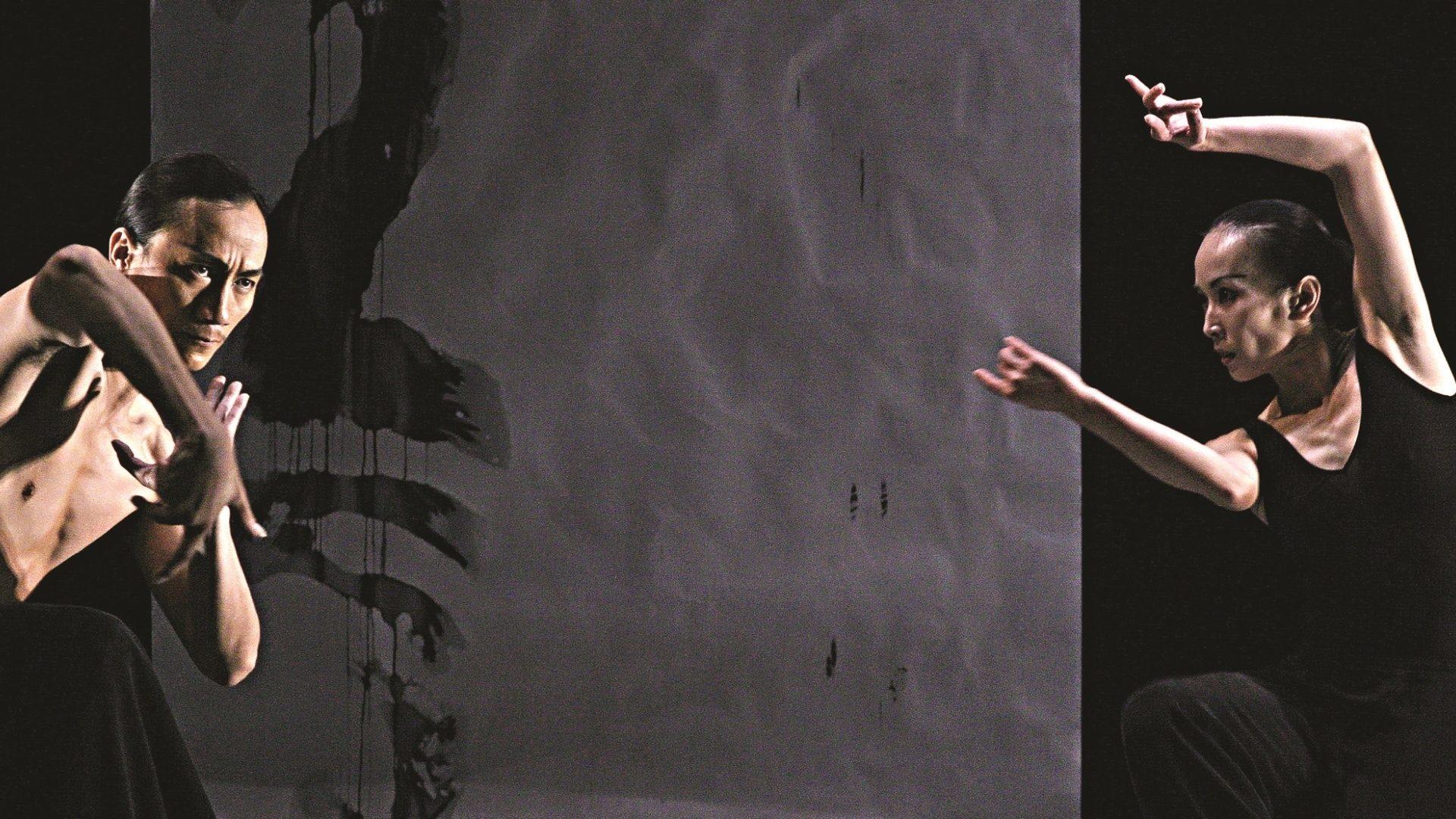 Wild Cursive | Dance | videotanz